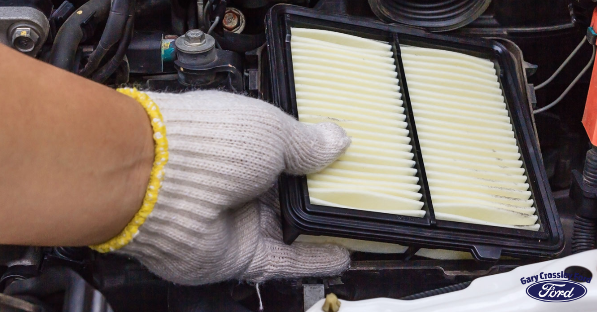 What You Need to Know About Your Vehicle's Engine Air Filter