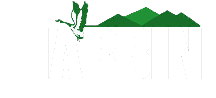 New and Used Car Dealer in Scottsboro AL | Harbin Ford