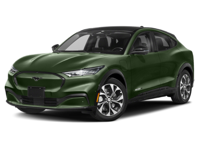 Ford Dealer in Sealy, TX | Used Cars Sealy | Ryan Ford