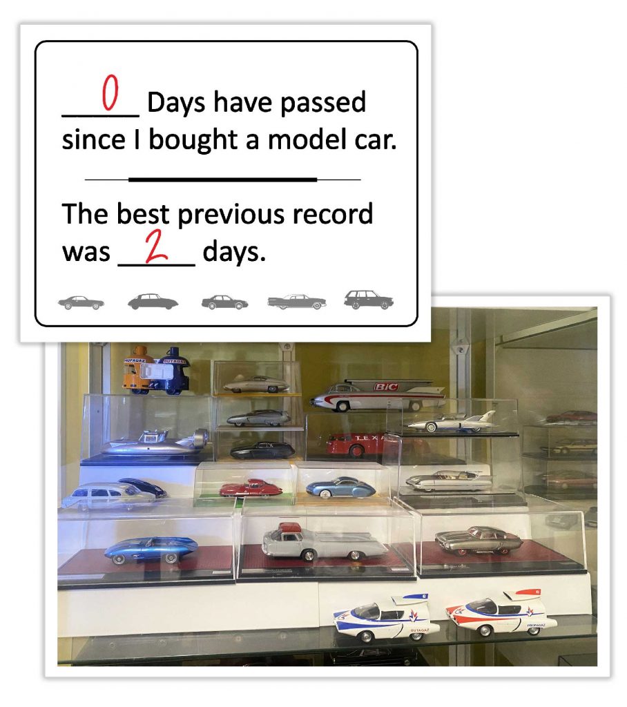 I Share A Small House With 7,042 Model-Cars. Here's The Obsessive Way I ...
