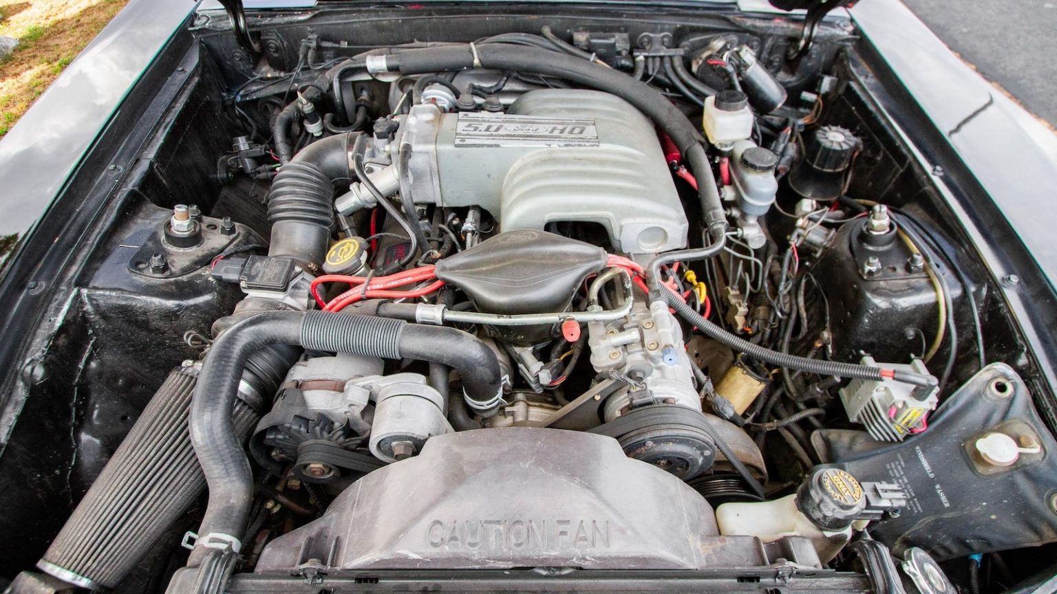 The Ford Kelly Python Was Supposed To Be A Reborn Cobra, So Why Were ...