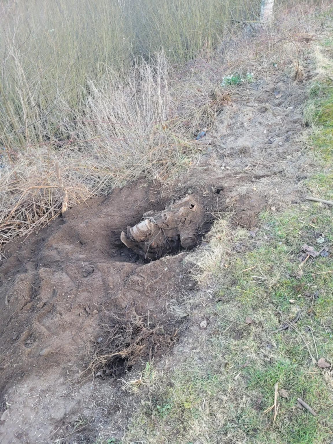 How A Swedish Man Dug Up A Long-Lost Ford Flathead V8 Buried In His ...