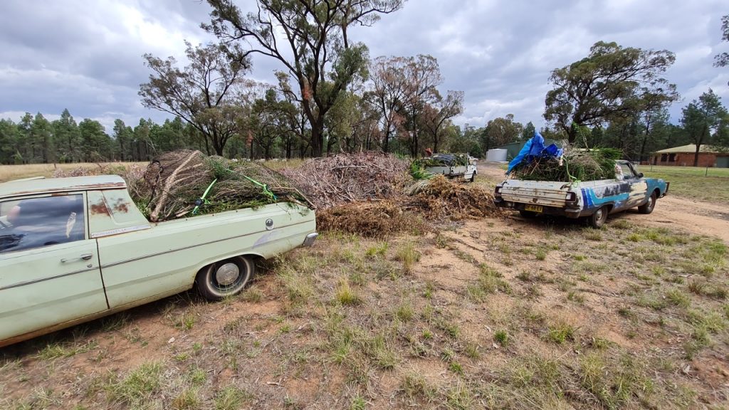 One Year Later, The Ute Nobody Expected To Live Is Thriving - The Autopian
