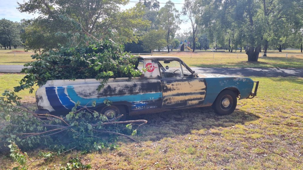 One Year Later, The Ute Nobody Expected To Live Is Thriving - The Autopian