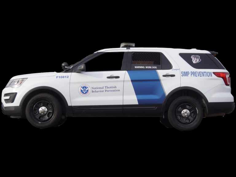 The ‘Booty Patrol’ Is Apparently This Year’s Most Popular Halloween Car ...