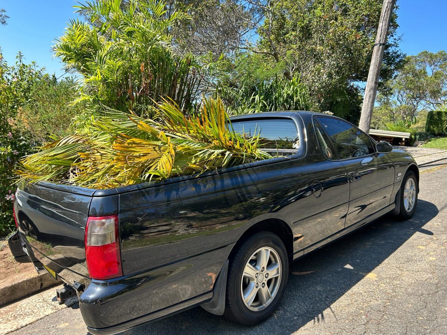 An Awesome Aussie Ute And A Marvelous Mini: Members' Rides - The Autopian