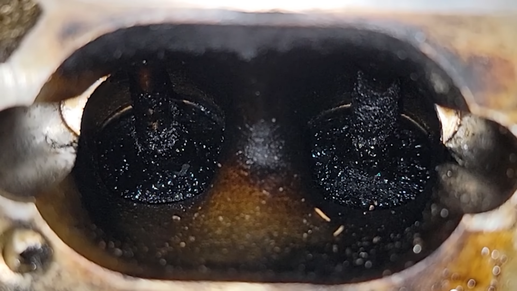 How Mechanics Use Walnuts To Fix Car Engines - The Autopian