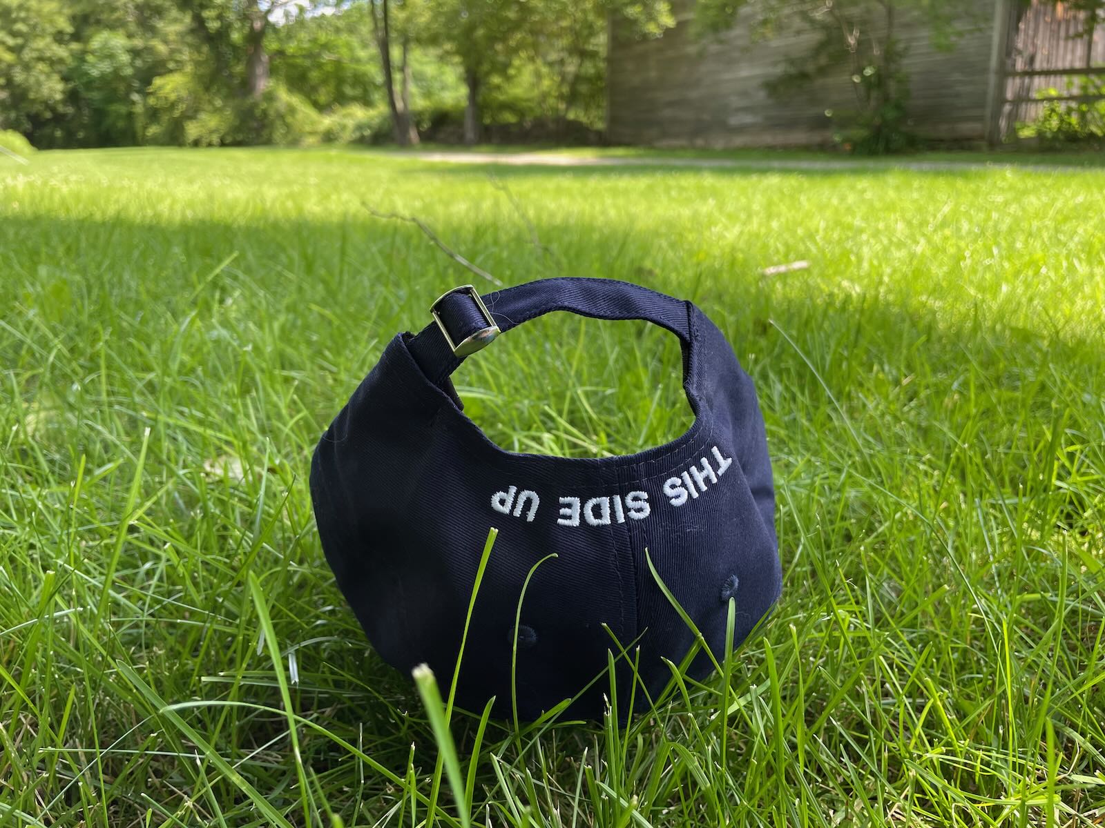 Do You Love Hats? You'll Love The New Autopian Hat (And Stickers) - The ...