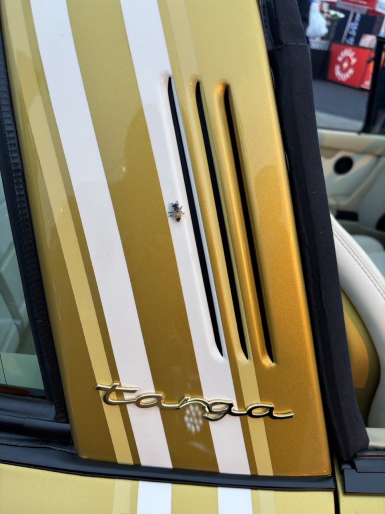Here's All The Highlights From The Fancy-People Car And Plane Show ...
