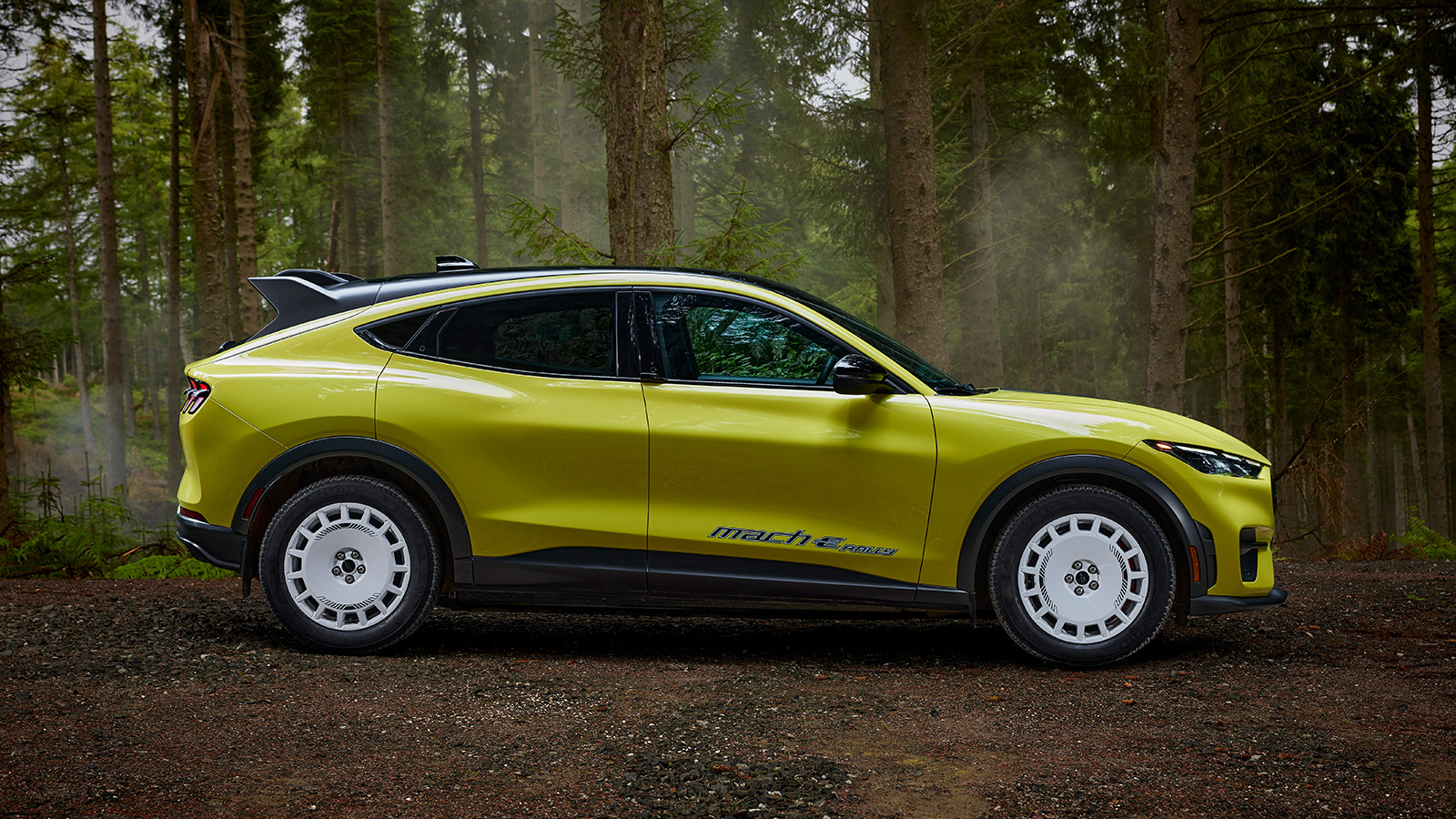 The Ford Mustang Mach-E Rally: Has Everyone Lost Their Damn Minds ...