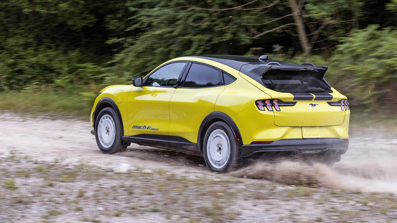 The Ford Mustang Mach-E Rally: Has Everyone Lost Their Damn Minds ...