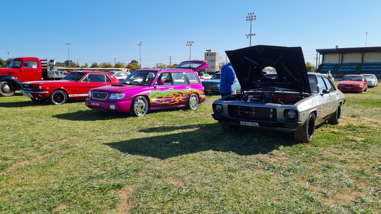 One Year Later, The Ute Nobody Expected To Live Is Thriving - The Autopian