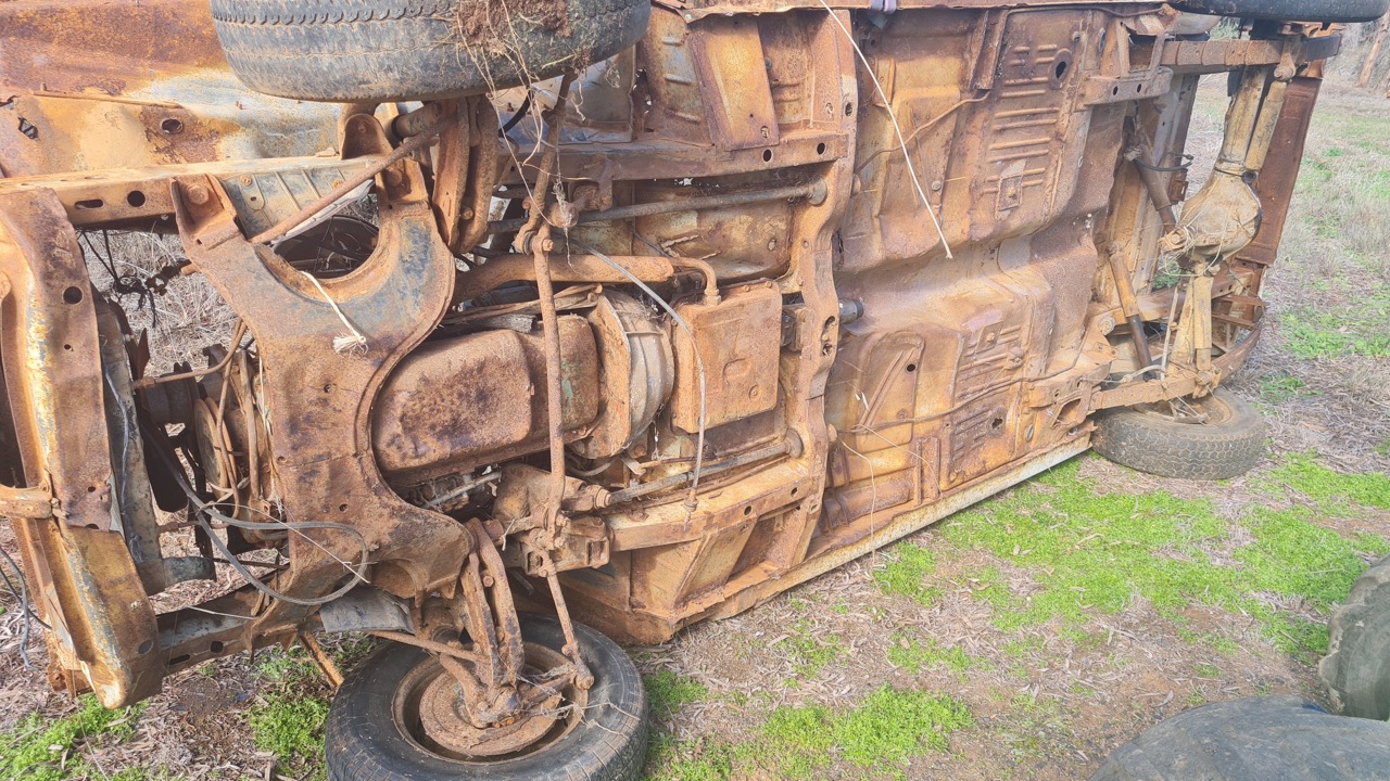 One Year Later, The Ute Nobody Expected To Live Is Thriving - The Autopian