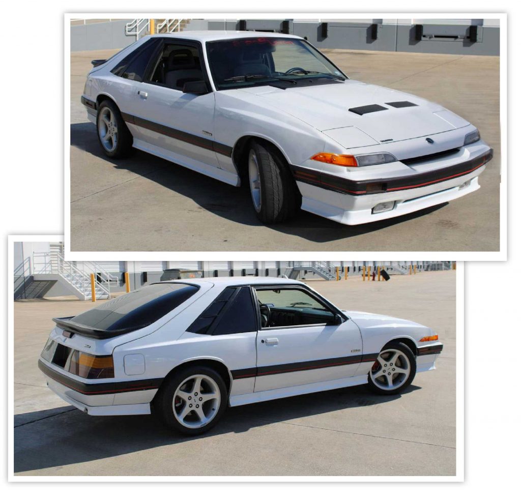 Our Daydreaming Designer Gives Us Some Facts And One Lie About The ...