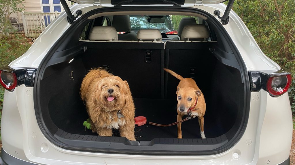 The Mazda CX-30 Is A Good Car With An Annoying User Interface That ...