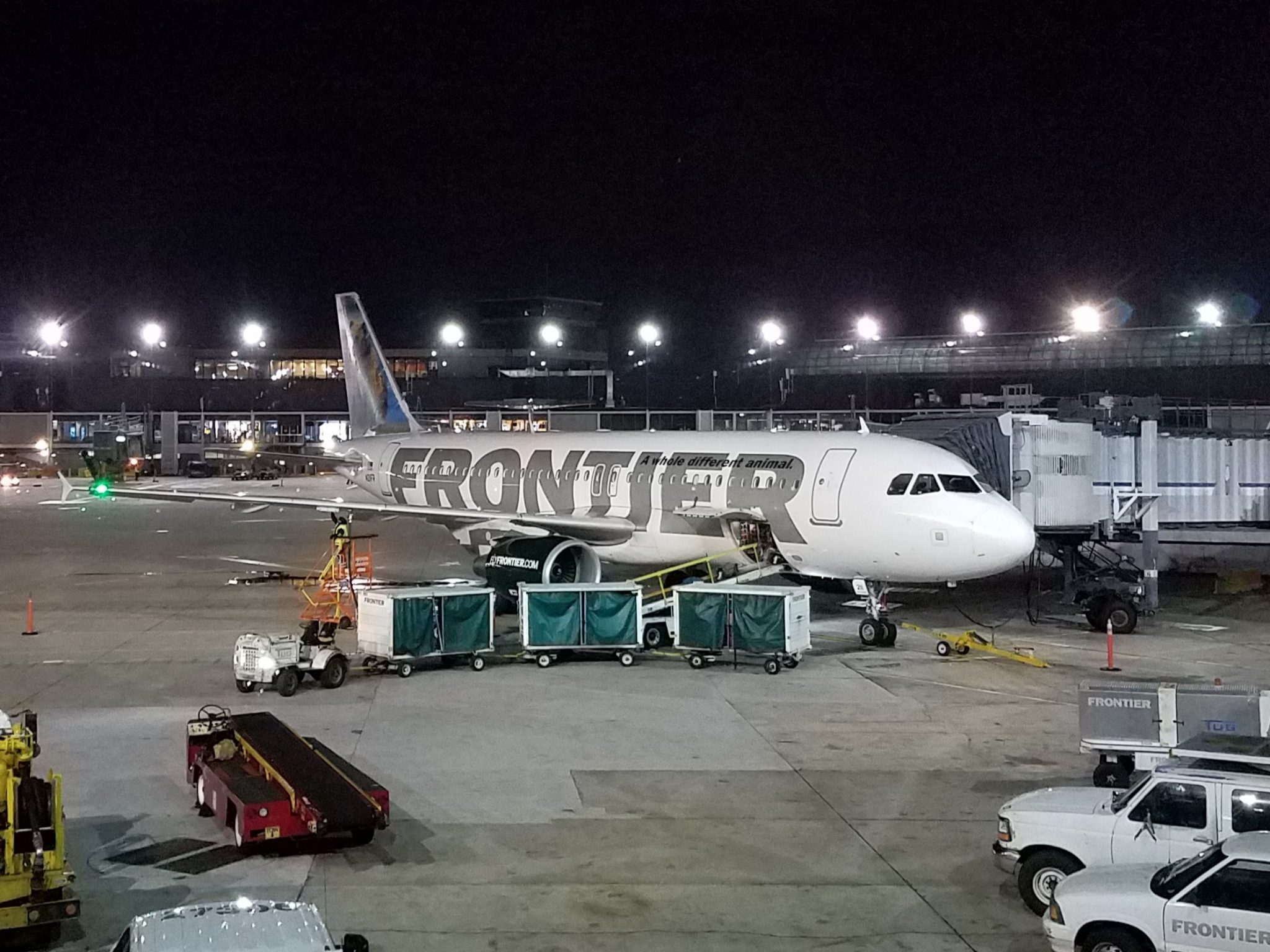 Here’s Why Flight Attendants Ask You To Open Your Plane Window For ...