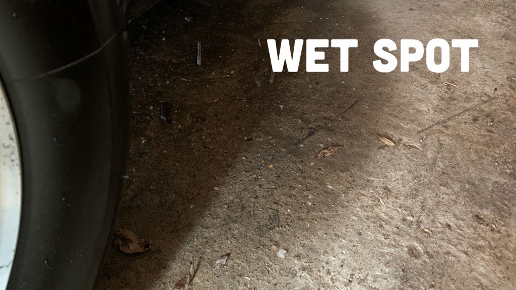 Here’s What You Learn When You Wrench On A 1983 Ferrari Mondial - The ...