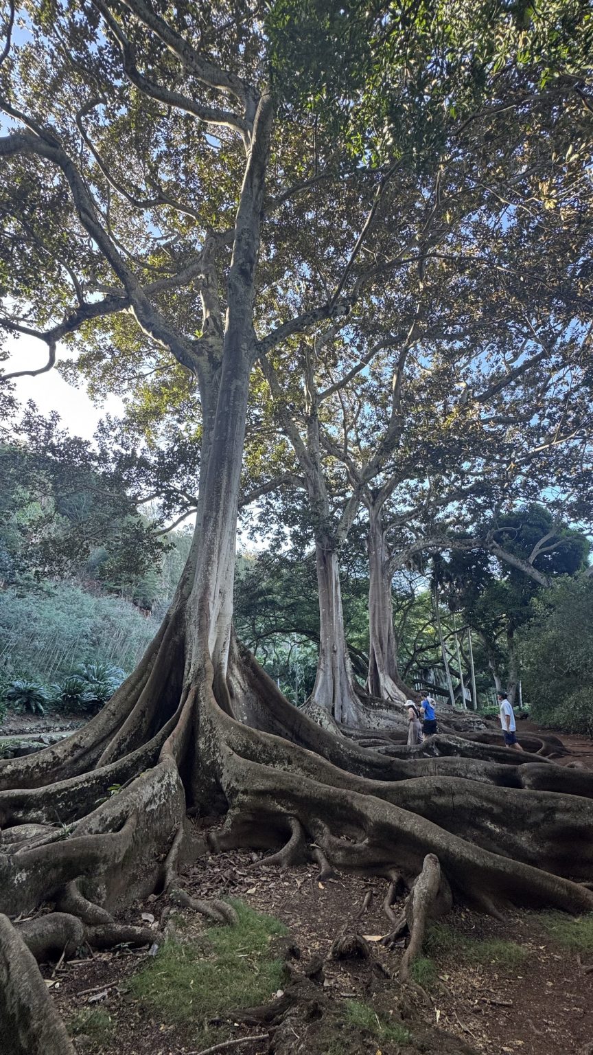 Why Driving A Jeep Wrangler JL On My Honeymoon Made Me Want To Buy One ...