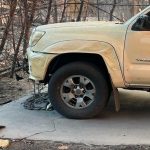Toyota Tacoma Torched In California Wildfire Somehow Still Runs After ...