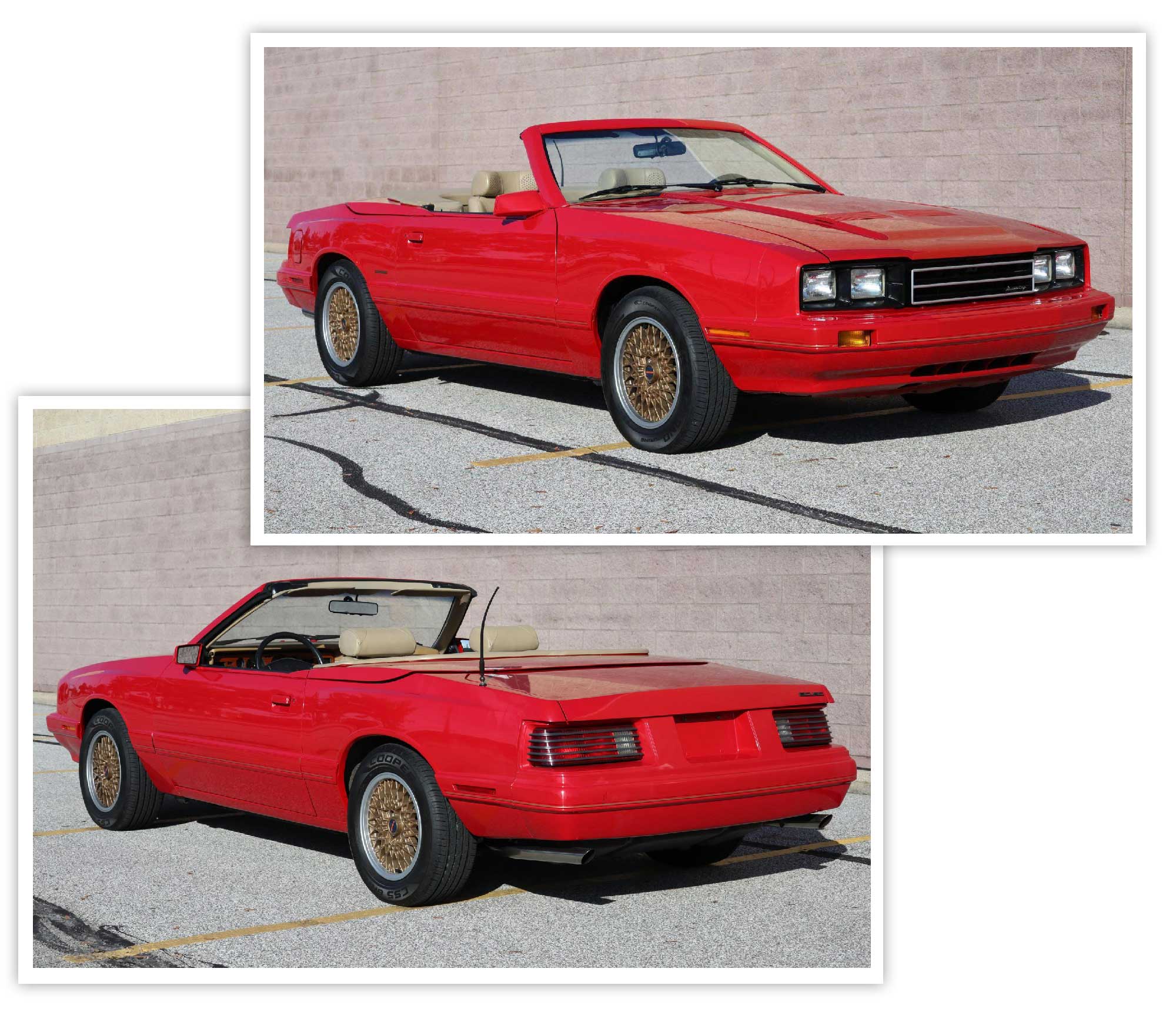 Our Daydreaming Designer Gives Us Some Facts And One Lie About The ...