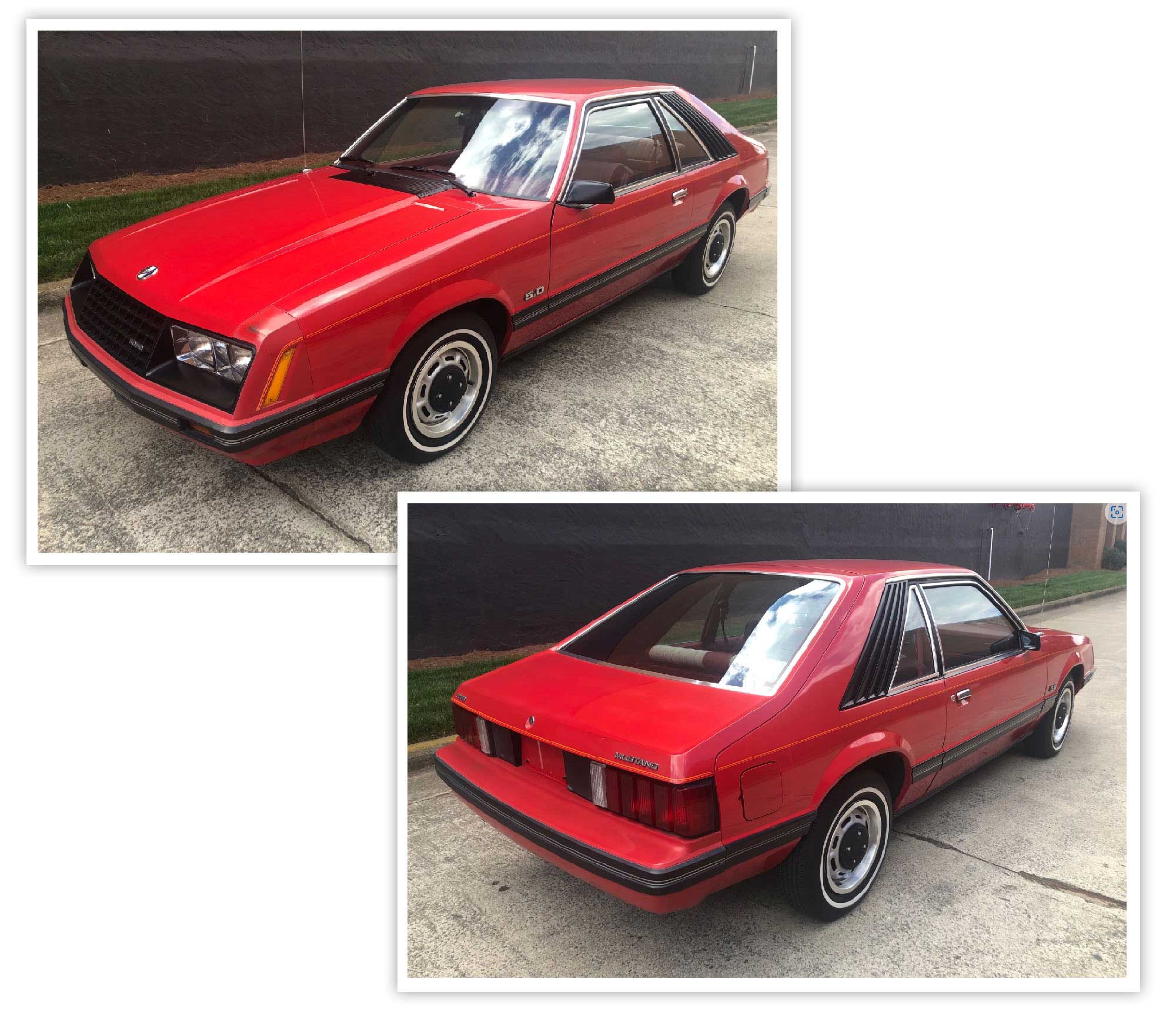 Our Daydreaming Designer Gives Us Some Facts And One Lie About The ...