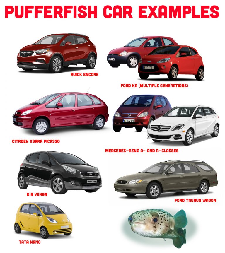 We Need A Name For Stubby, Inflated-Looking Automobiles So I'm ...