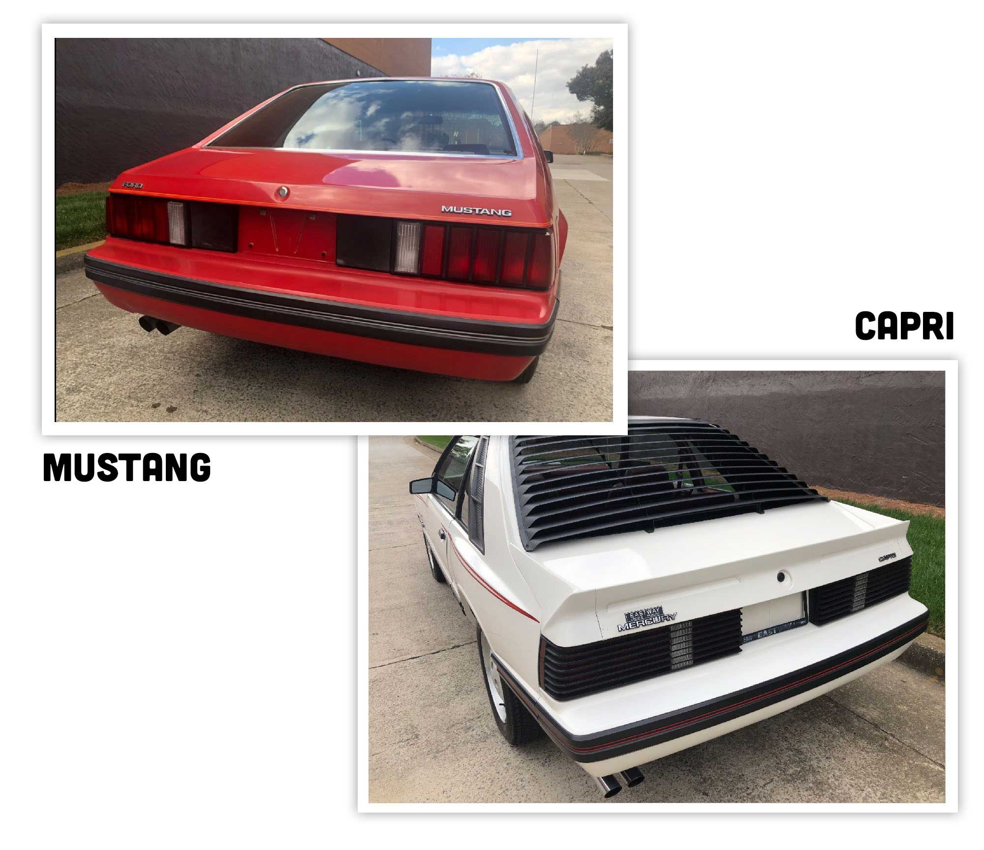 Our Daydreaming Designer Gives Us Some Facts And One Lie About The ...