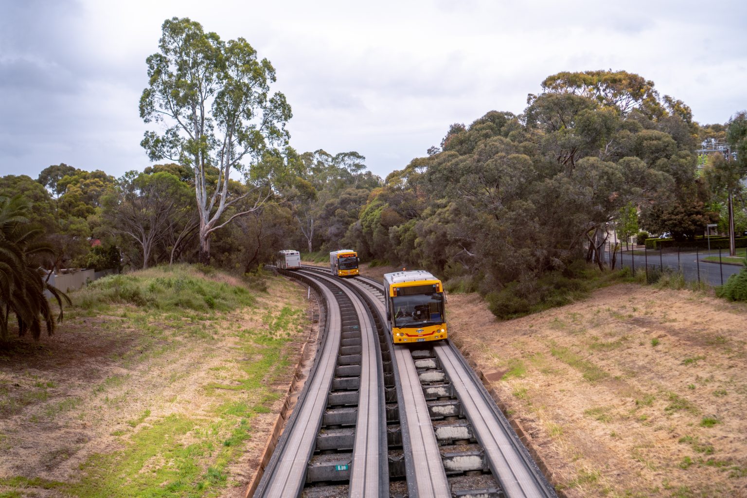 These Australian Buses Run On Tracks, And Cars Keep Getting Stuck On ...