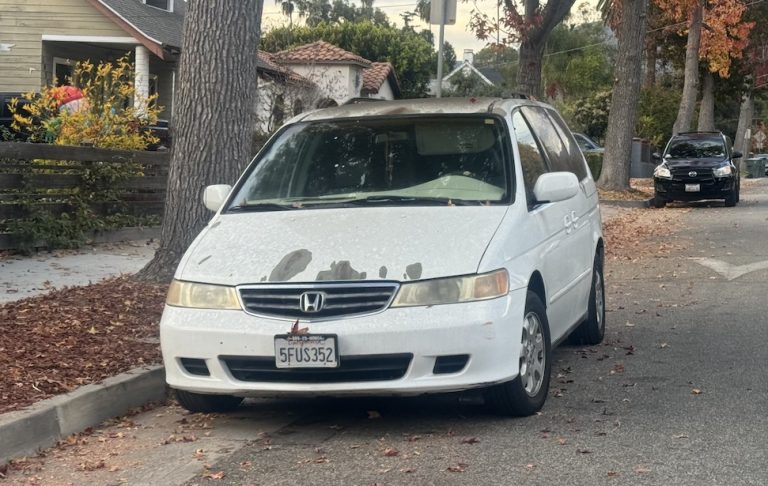 Toyota, Honda, And Hyundai's White Cars Have Been Having Major Paint ...
