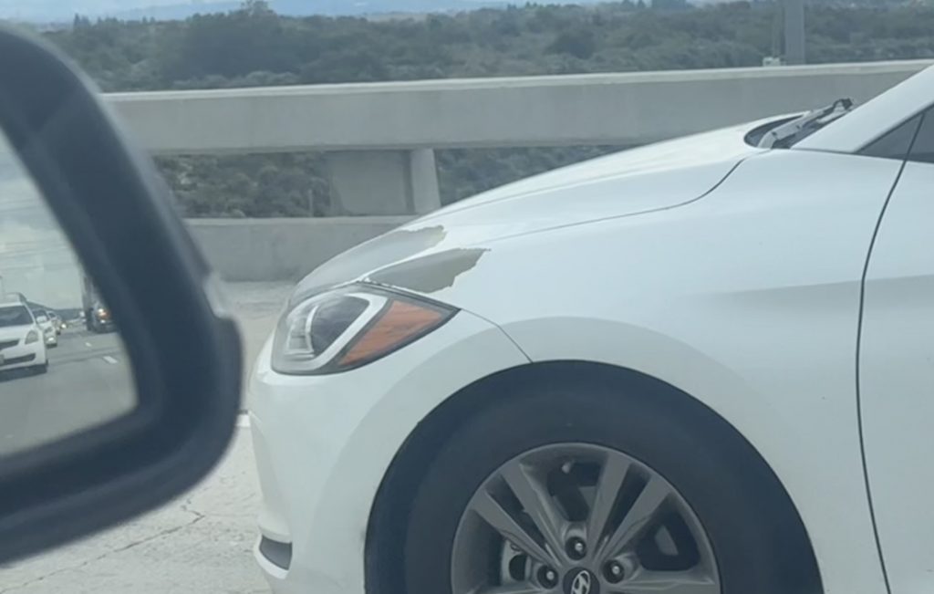 Toyota, Honda, And Hyundai's White Cars Have Been Having Major Paint ...