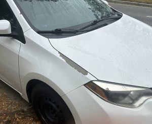 Toyota, Honda, And Hyundai's White Cars Have Been Having Major Paint ...